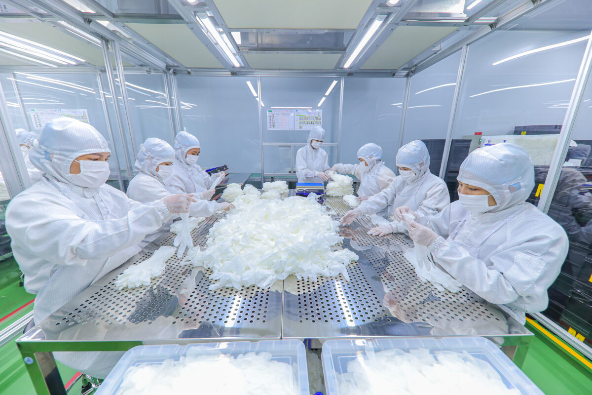 Trang chủ - Thai Hoa Gloves